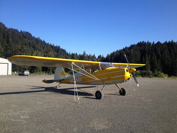 Airplane Design (Yellow) - AIR35JJ170-Y1 – Flyboy Toys